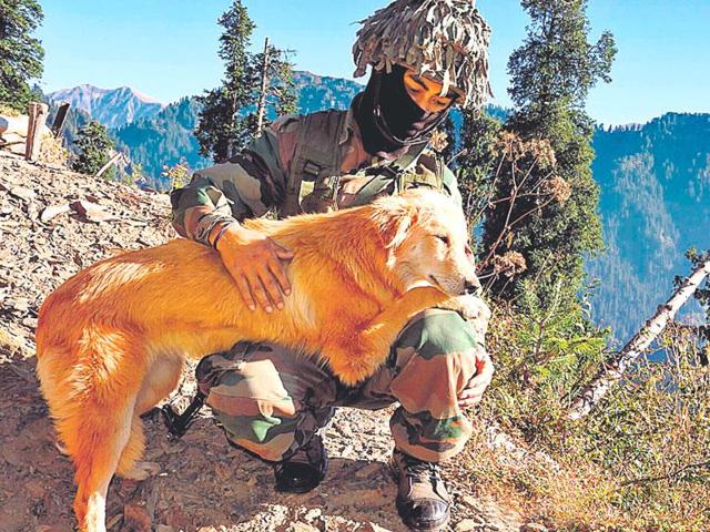 Indian Army and Stray Dogs at LoC – JAAGRUTI®