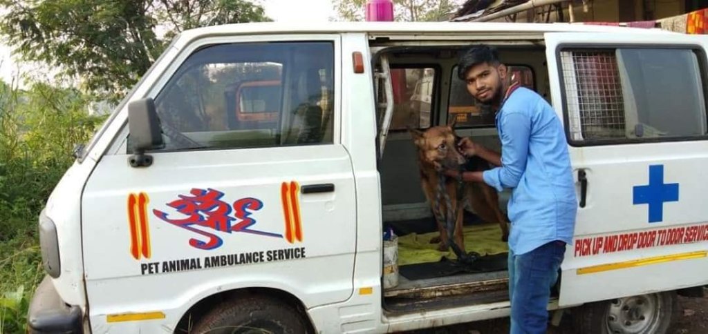 Important Notice from Animal Ambulance Community of Mumbai Region ...